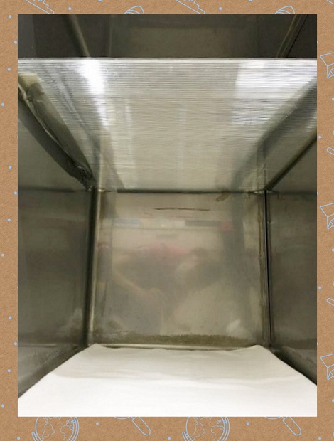 VNCAブログ【整形外科手術後 ご自宅での過ごし方】 - ネオベッツVRセンター